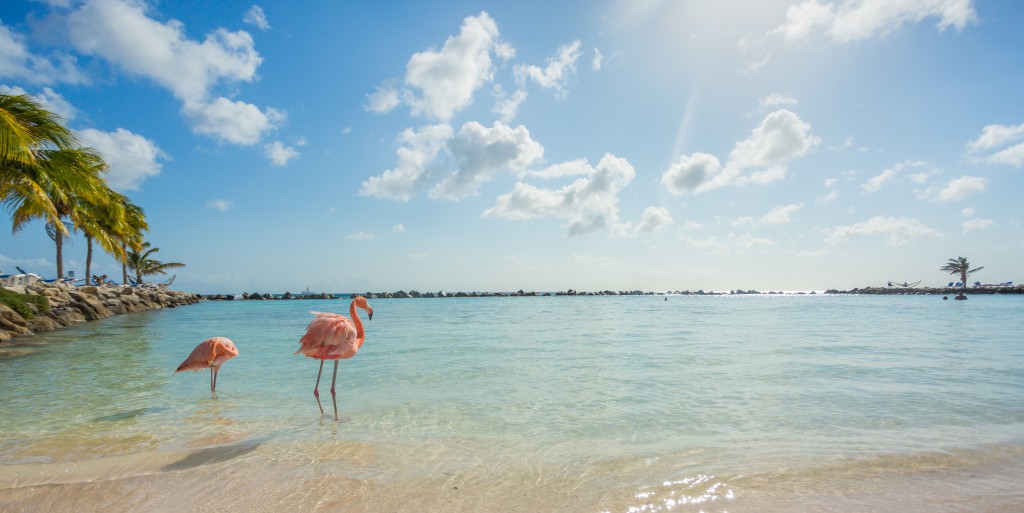 Flights Boston - Aruba | find flights, compare prices and book tickets ...